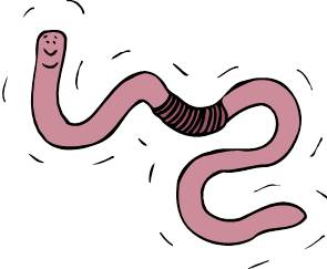 Science with Ms. Kathleen: Earthworm Anatomy