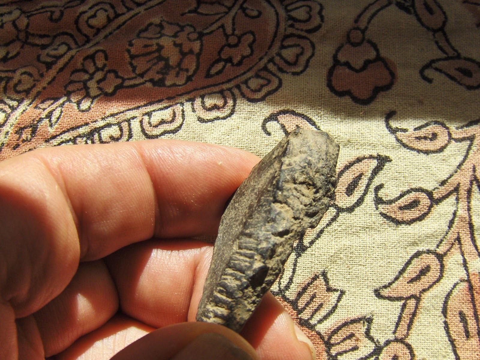 Rock Piles: Curious rock with scratches on it (or "Tally Stone")