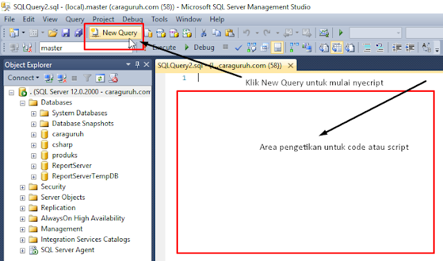 Pengenalan SQL SERVER Cara Membuat Database dan Table - Blog Mas Guruh ...