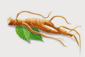 Simplisia Radix ~ Ega Ayu Prastika