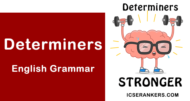 Determiner- English Grammar Concepts with Examples