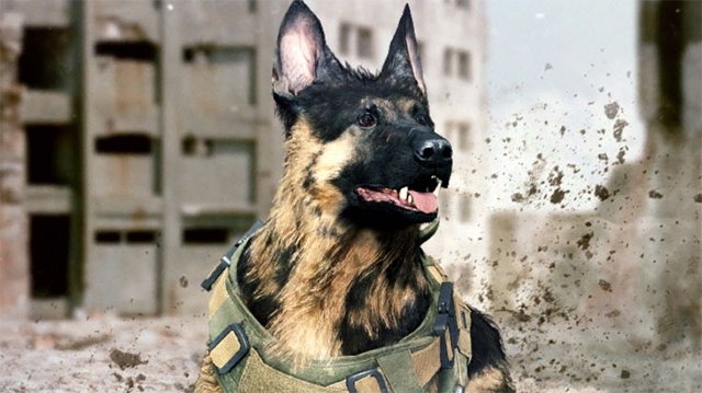 How to get the dog in Call of Duty: Modern Warfare - GameVloog
