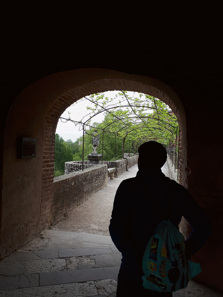 Visiting Albi: A hidden gem in the South of France | The Social Traveler