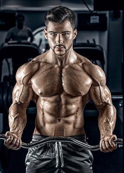 Male Bodybuilders Transformed Into Massive Bulging Flexing Muscle Gods Ready For You To