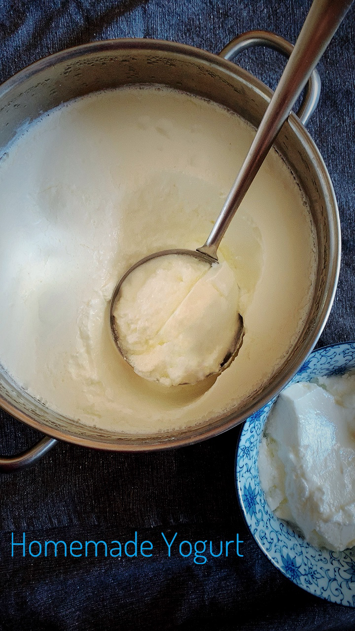 Turmeric & Saffron: Doogh - Persian Yogurt-Drink and Homemade Yogurt