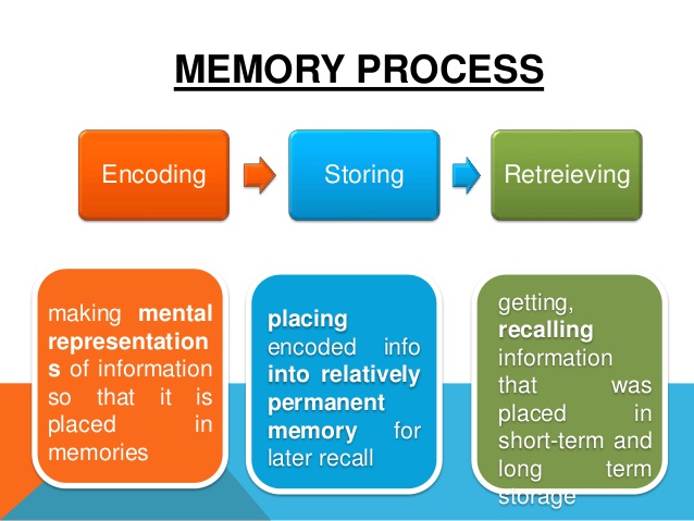 Mds Interim Assesment Memorylearning And Ampimproving Concentration Understanding