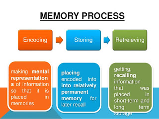 MDS Interim Assesment: Memory,Learning and AMP:Improving Concentration ...