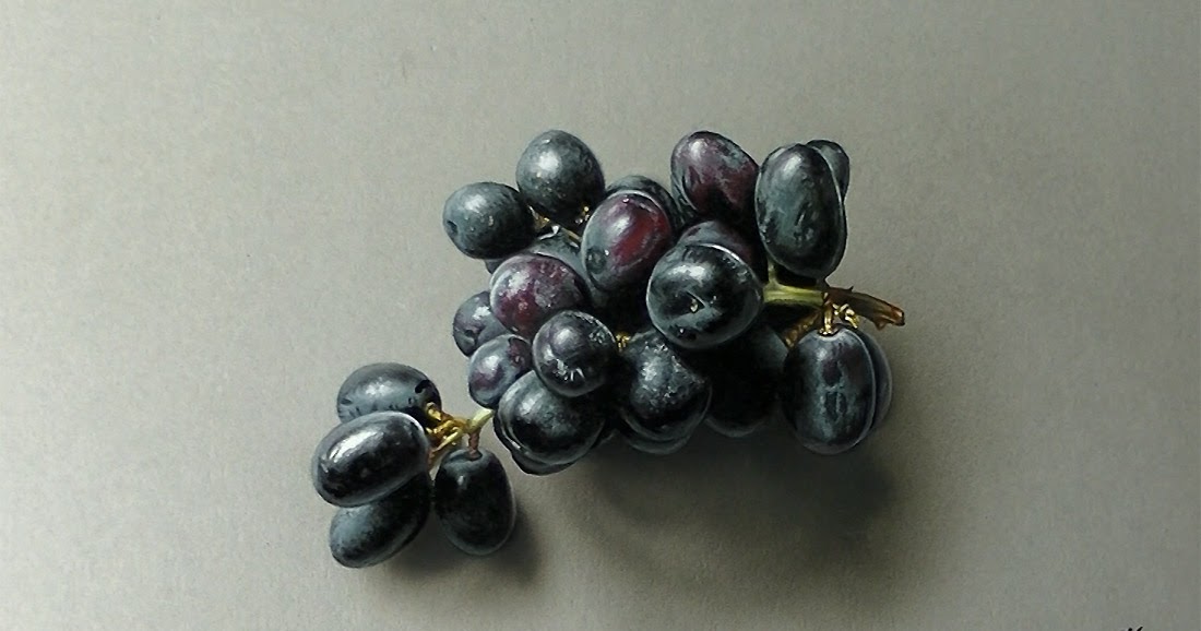 Drawing black grapes - Marcello Barenghi