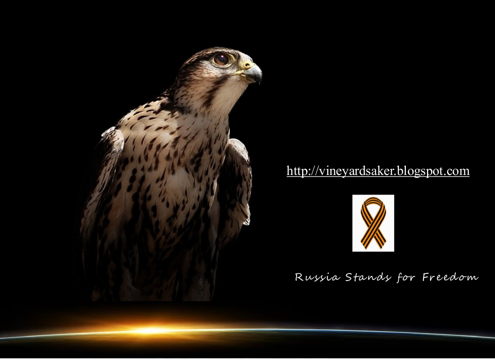 The Vineyard of the Saker: Which logo do you prefer? (UPDATED!)