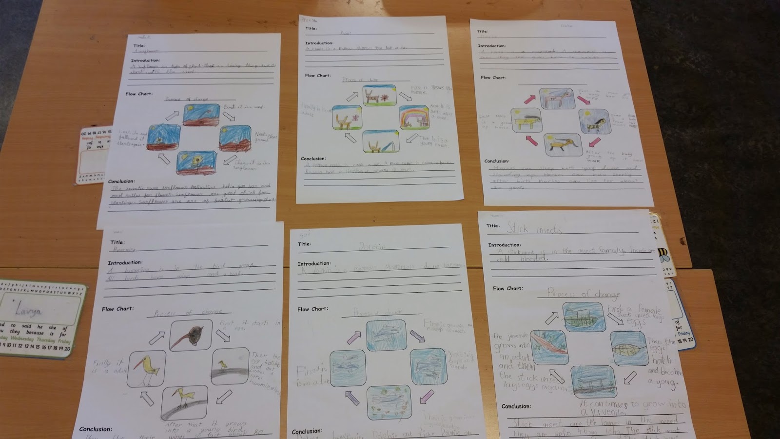 Grade 1 : Unit 5 - How the world works