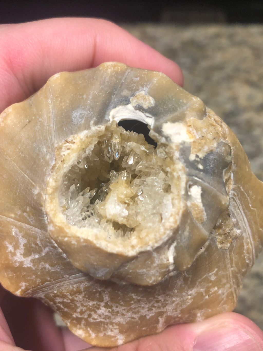 Treasure Beaches Report: Pt. 2. (2020 and Beyond). : 8/27/20 Report ...