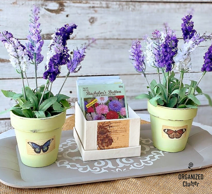 Spring Decor With Dollar Tree Pots, Boxes, Floral Stems, and Seed ...