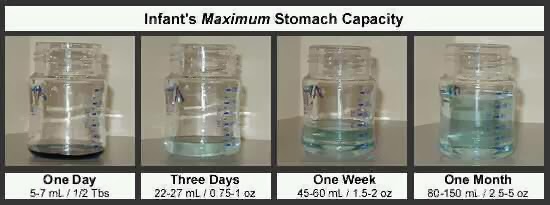 Adventures in Breastfeeding: Size of Your Baby's Stomach