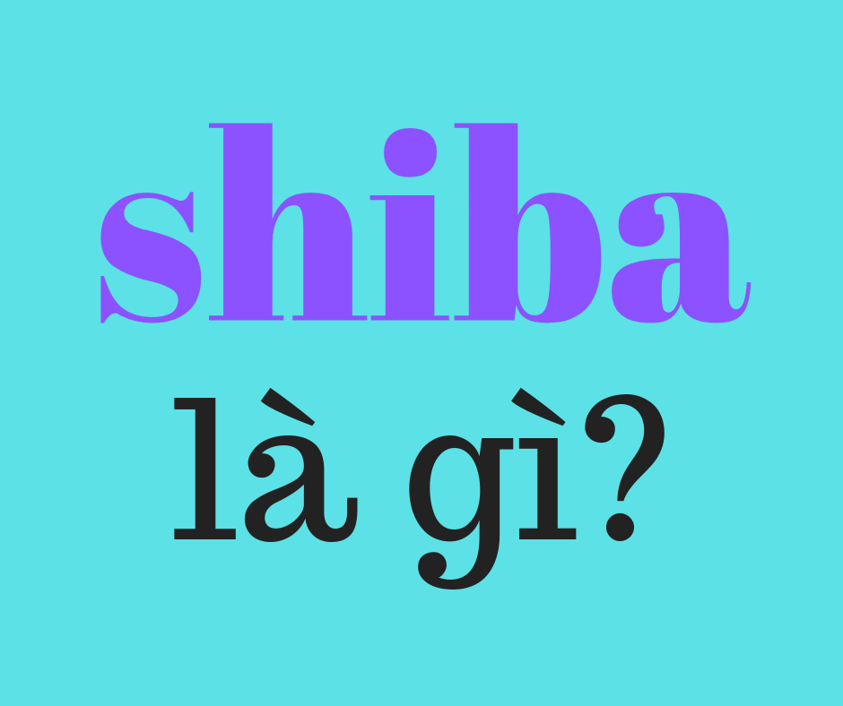 Shiba là gì? Ý nghĩa của shiba - Dịch Nghĩa Online