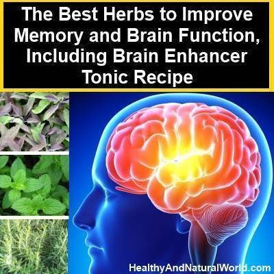 Live Healthy Live Longer: Best 10 Herbs and Spices for Brain Health ...
