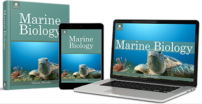 Homeschool On the Range: Marine Biology Unit Study