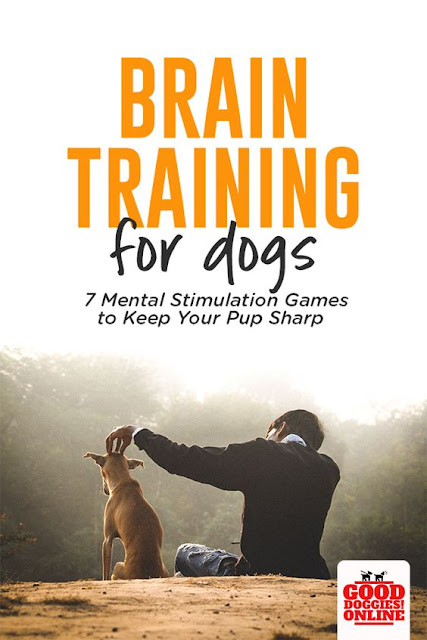 Lovely Dog: brain training for dogs