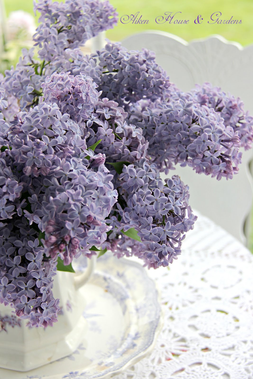 Aiken House & Gardens: It's Lilac Season in our Garden