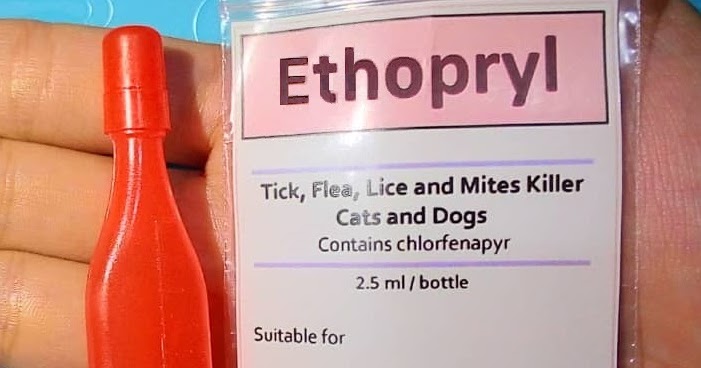 Racun Sinit, Kutu Anjing dan Kucing - Kota Kinabalu Pet Supplies