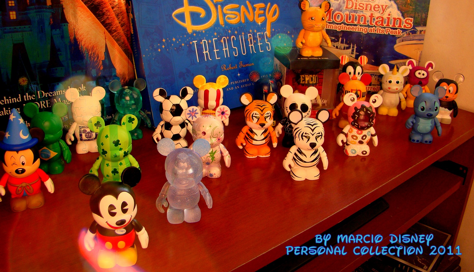 The Disney Vinylmation Blog: My Personal Vinylmation Collection