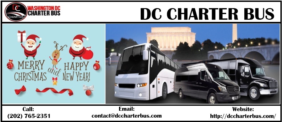 Manifest an Inclusive Destination Wedding Dream with an Airport Charter ...