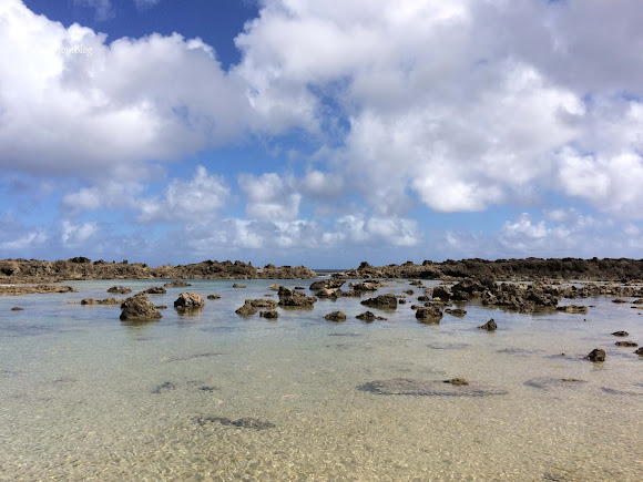 Hawaii Mom Blog: Pupukea Tide Pools