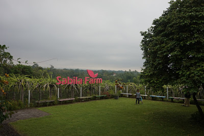 Sabila Farm - Keseruan Wisata Berkebun