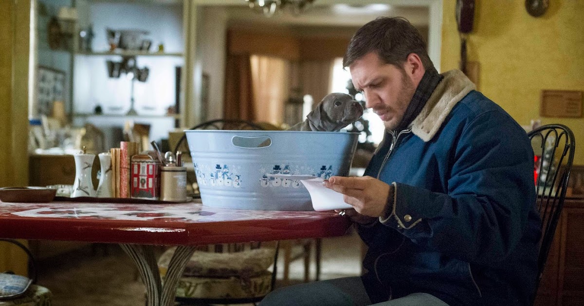 The Drop - DVD Review | Film Intel