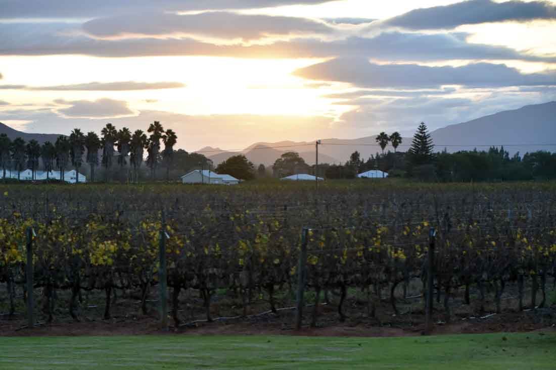 .: Robertson Wine Valley's Wacky Wine Weekend 4. De Wetshof