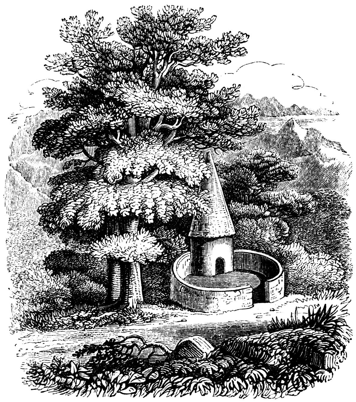 Willowbrook Park: Pig Hilton Mark 2...