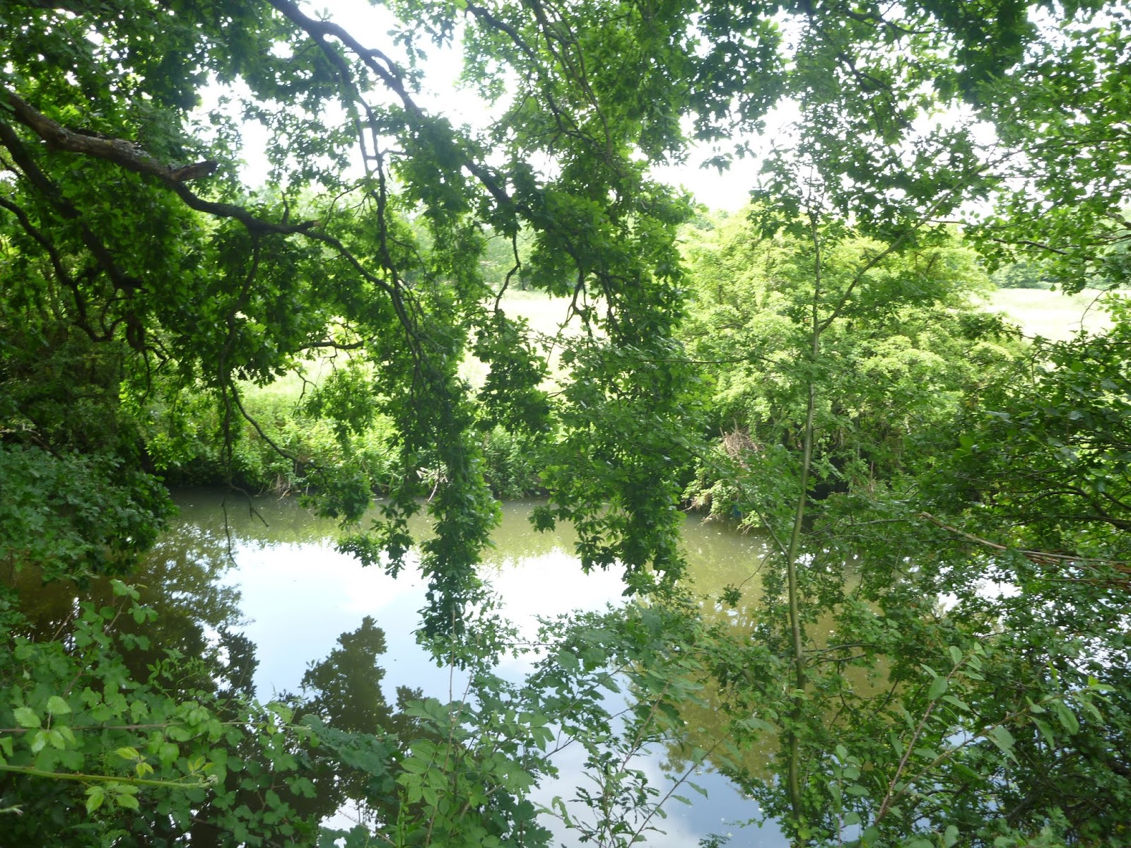 A Place Called Space: Newbold Comyn - the Wetlands