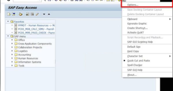SAP GUI Customization | SAP Online Guides
