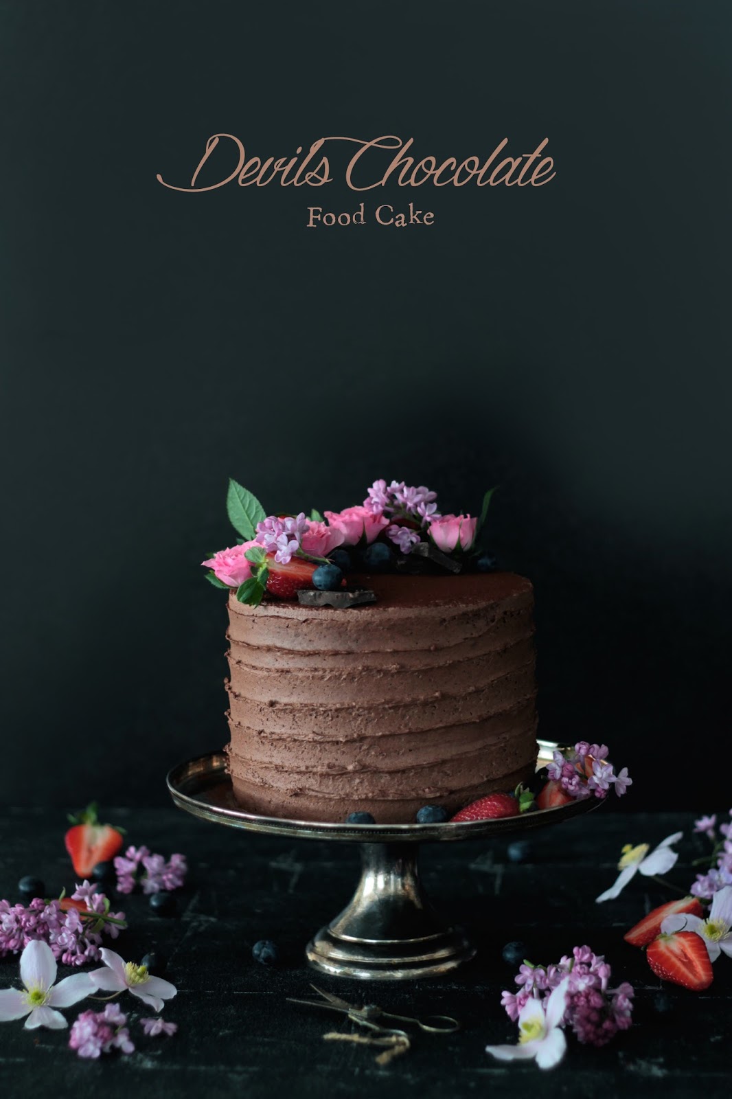 Gaston Le Gourmet: Devil's Chocolate Food Cake