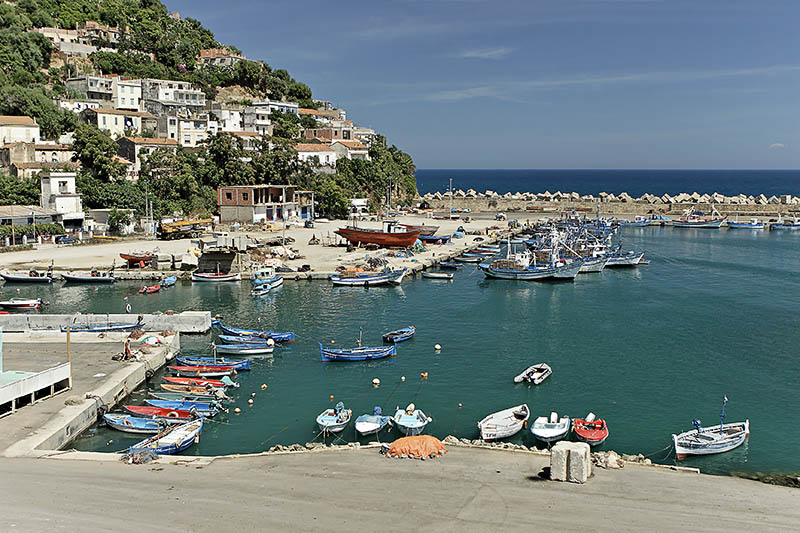 Every Day Is Special: November 1 – Revolution Day in Algeria