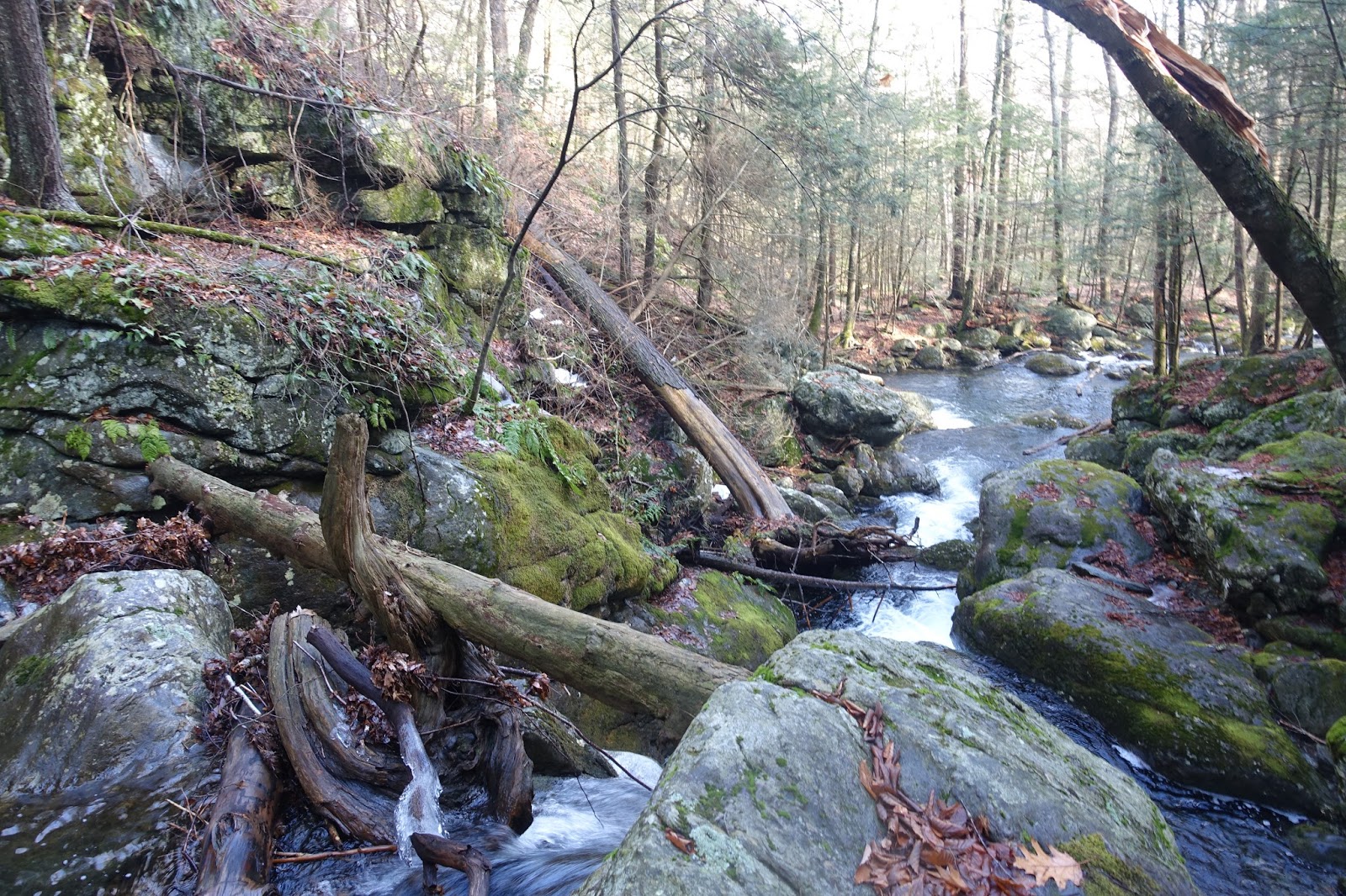 Of Rock & Riffle: A Monumental Mid-Winter's Day in a Deep, Dark Ravine