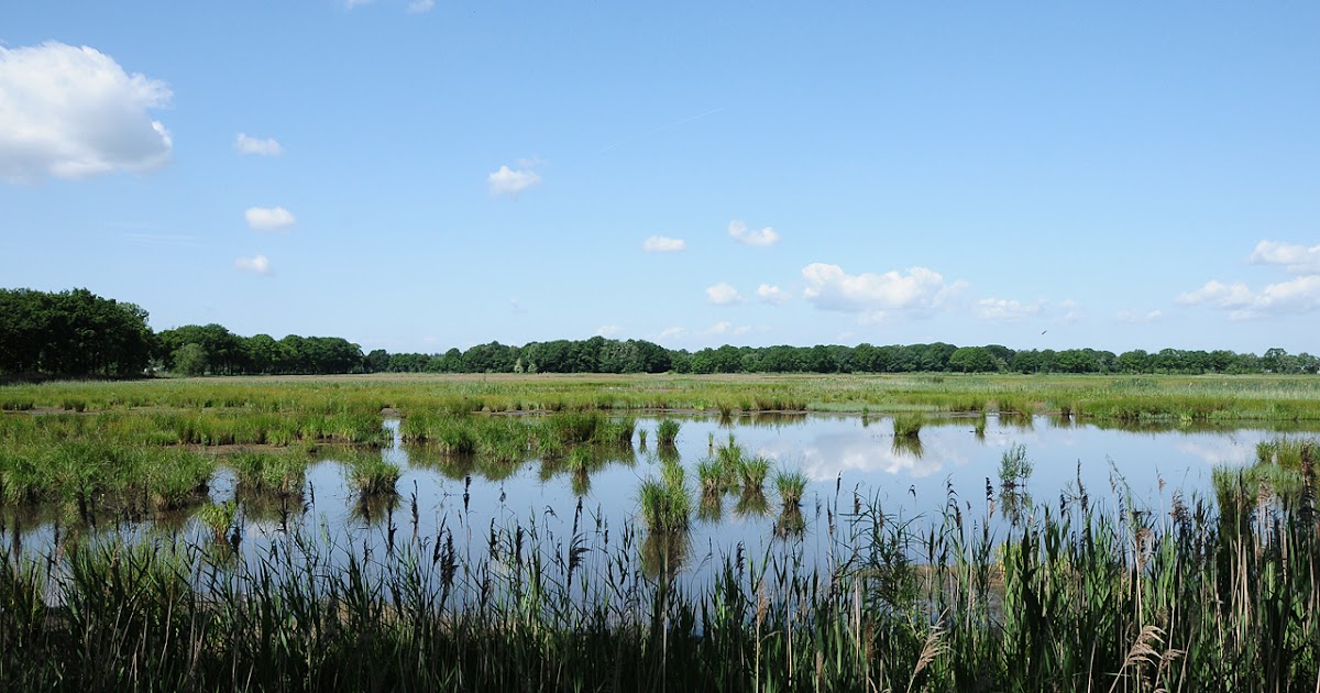 Jozef van der Heijden - Natuurfotografie: Favoriete natuurgebieden ...