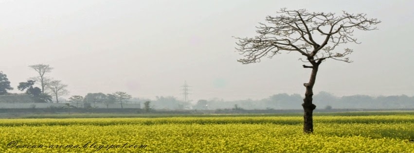 Shorisha Ful FB cover Photo - Unique « Ocean Aroma