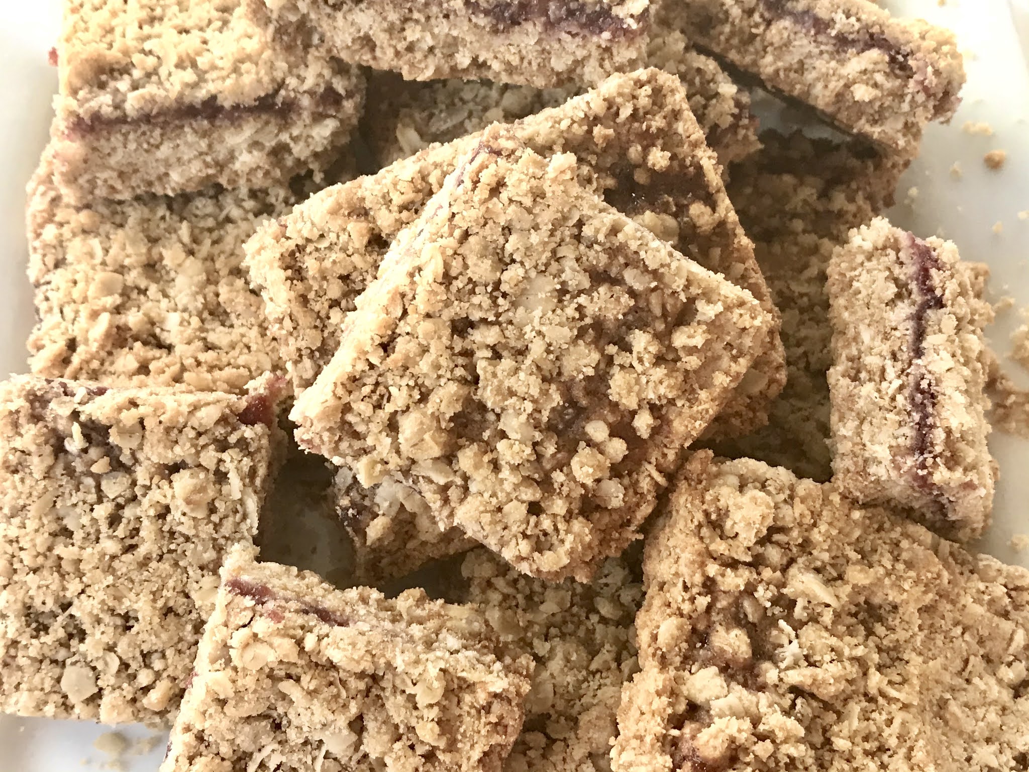 Raspberry Oatmeal Squares [The Color Wheel Gallery]