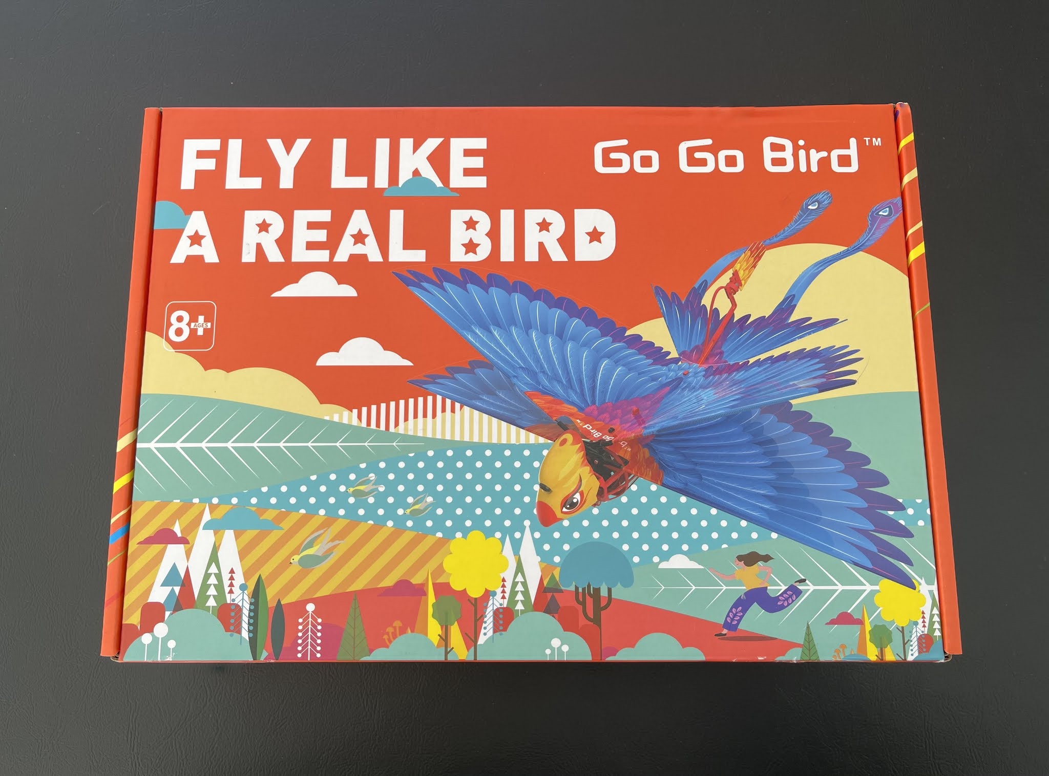 Trying to Stay Calm!: Go Go Bird Review and Giveaway...