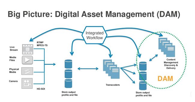 Know How Digital Asset Management Solution Use to Help You Organize Your Digital Assets