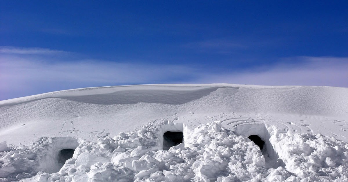 Lectii de viata: Despre prosti