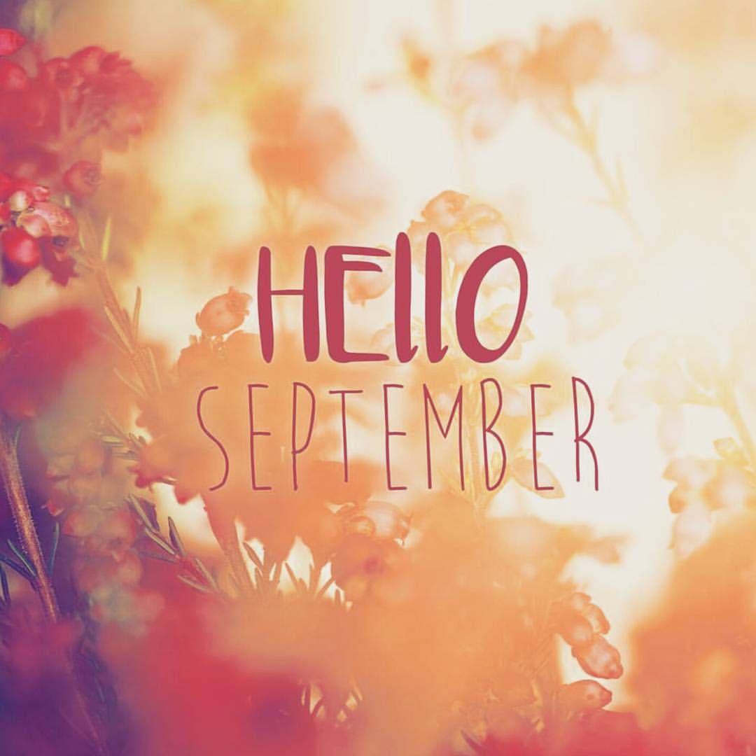 Fall Into September – A Little Bit of Everything