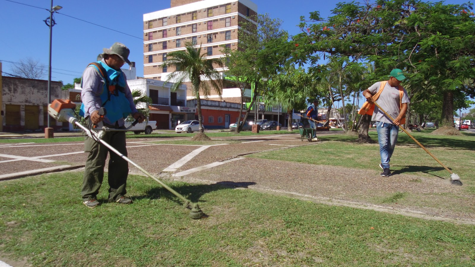 Prosiguen las tareas de desmalezado, poda y embellecimiento de plazas y ...