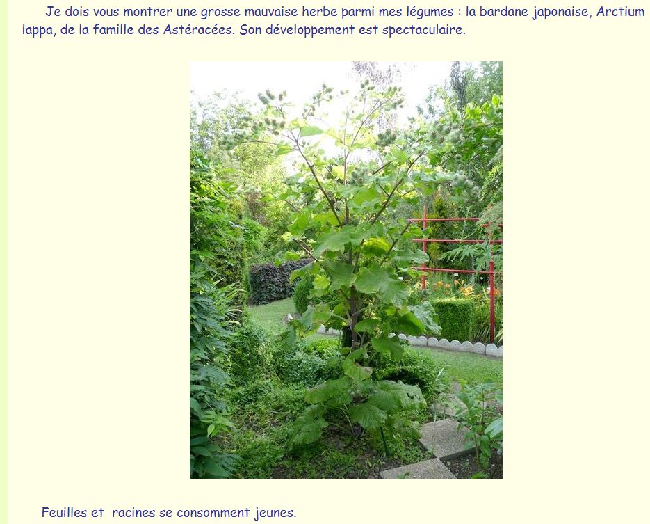 Ma poubelle est un Jardin