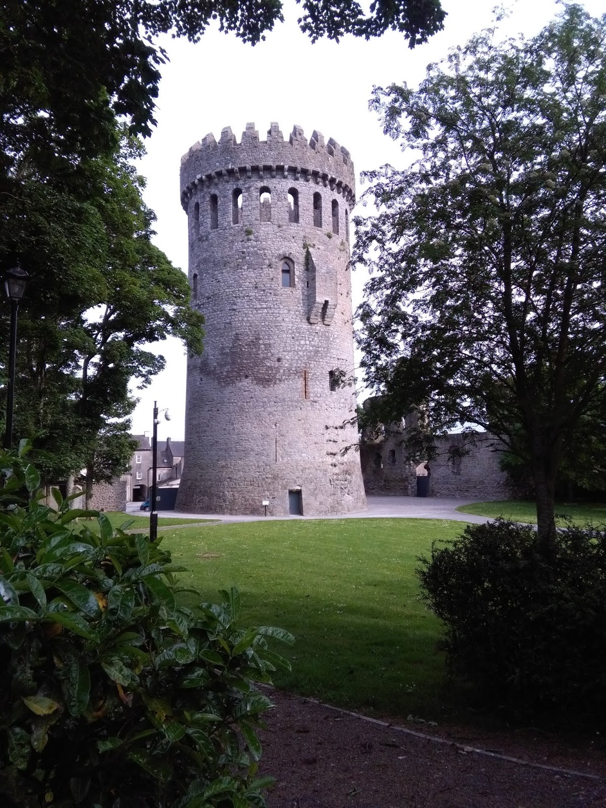 Life on the Wing: One Night in Nenagh