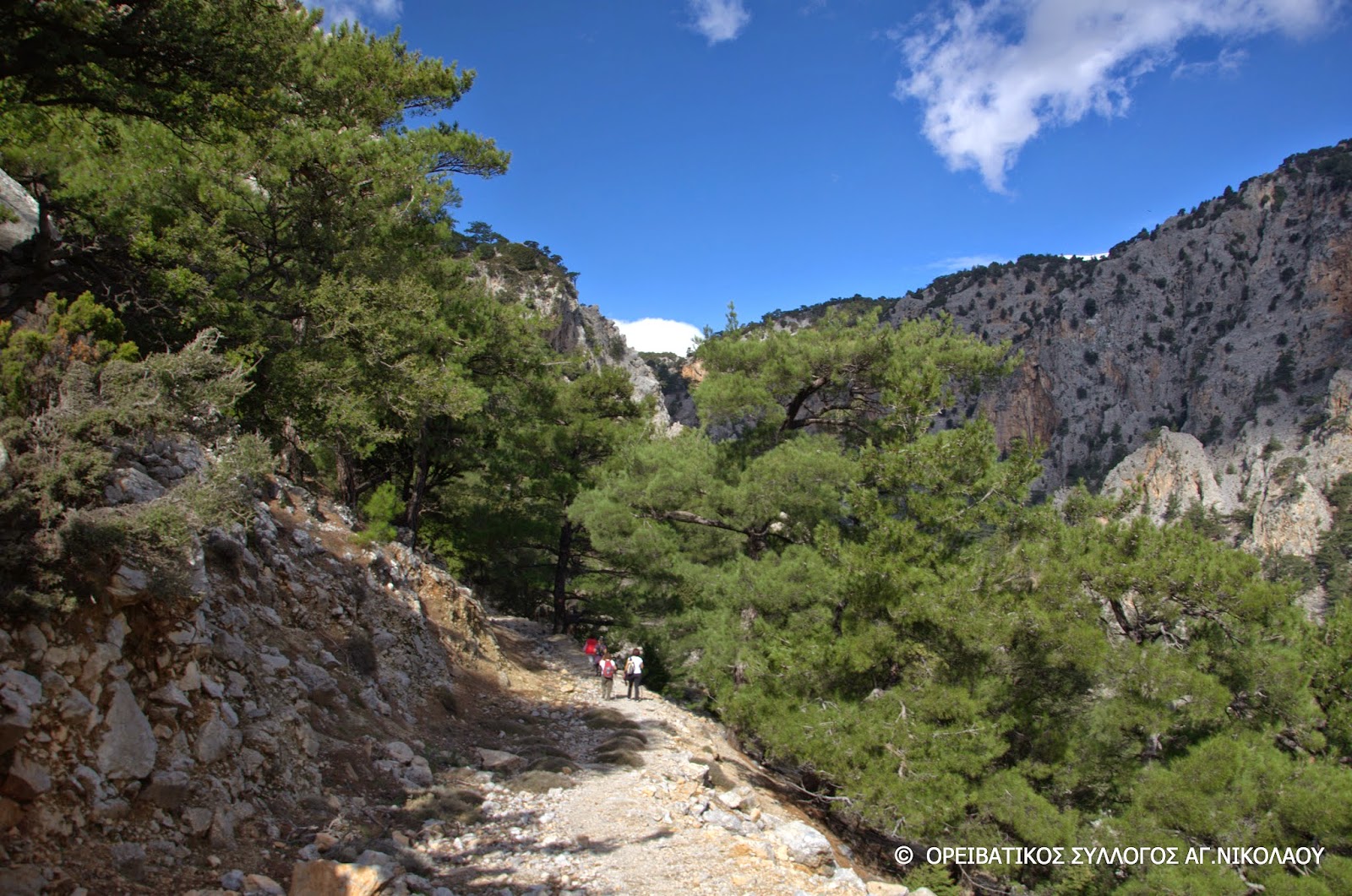 EXPLORE MOUNTAINS: ΠΕΖΟΠΟΡΙΑ :ΜΕΤΑΞΟΧΩΡΙ-ΠΗΓΗ ΣΚΑΦΙΔΙΑ-ΚΑΛΥΒΕΣ-ΖΩΝΑΡΙ ...