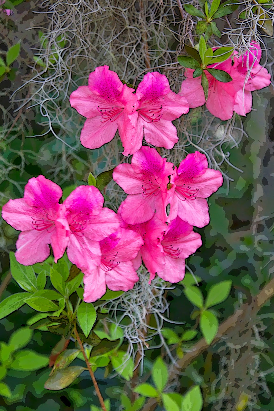 JeanP travels, photos & tales