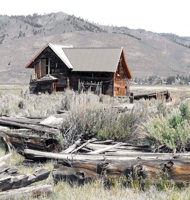 North Yuba Naturalist: Sierra Valley & Carmen Valley