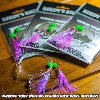 Fishing rigs For Whiting & surf fishing rig The Perfect set up.: June 2015
