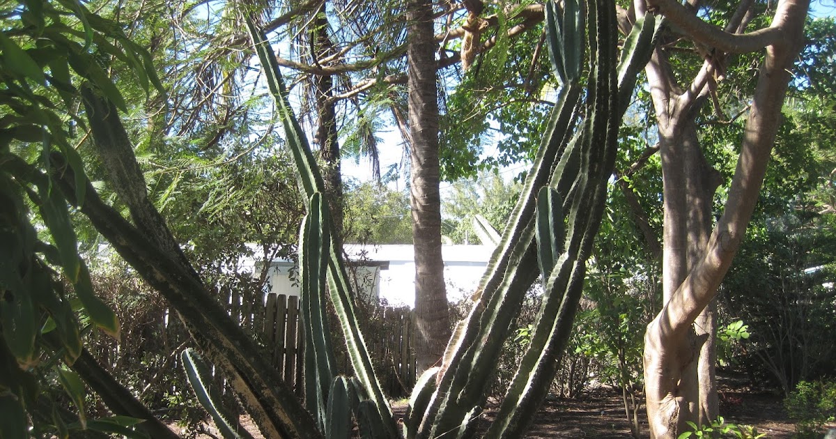 Boating with Sunset Delight: Florida: Marathon - kayaking Boot Key Harbor